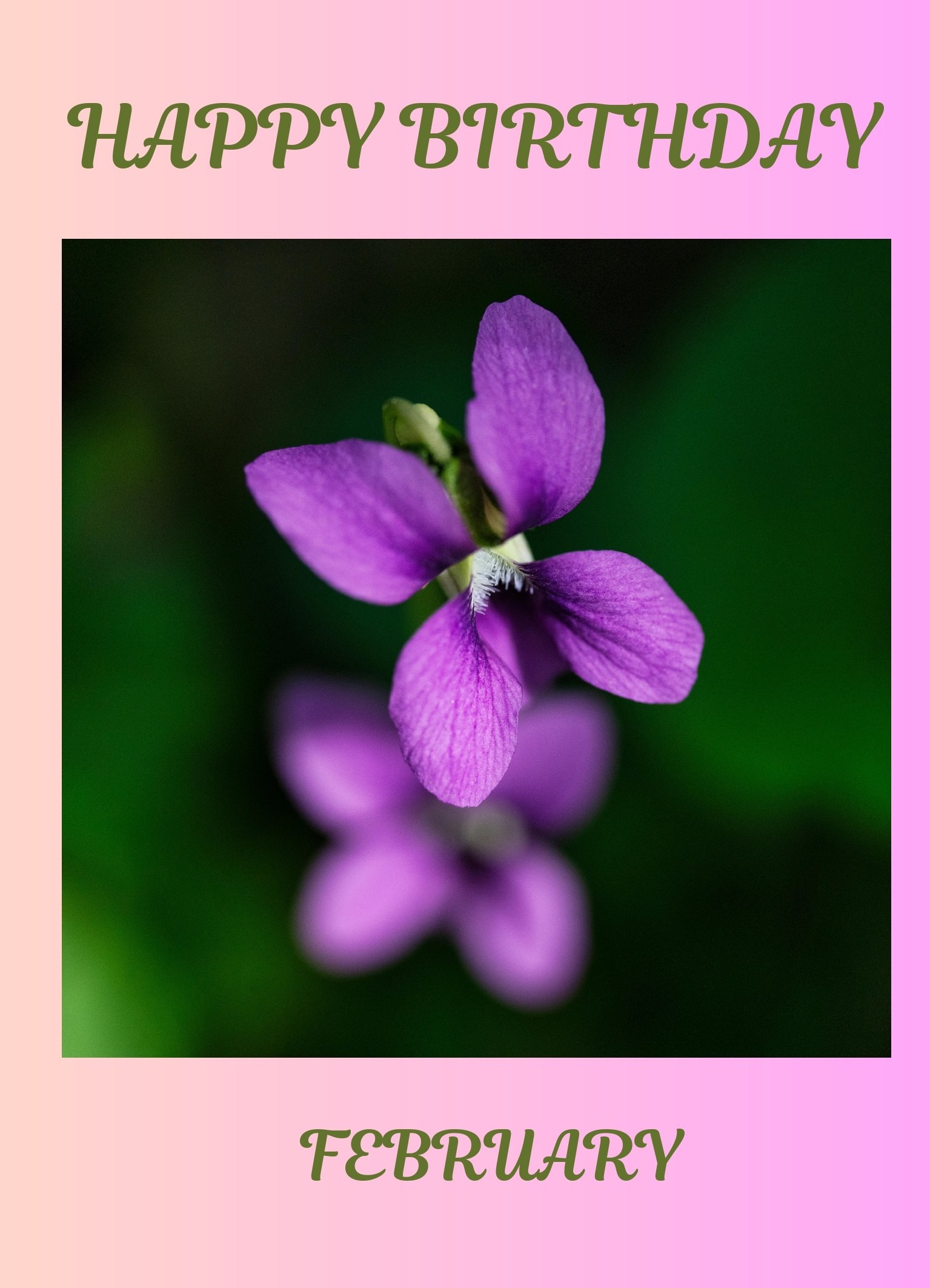 JollityJig - Birth Month Flower Cards