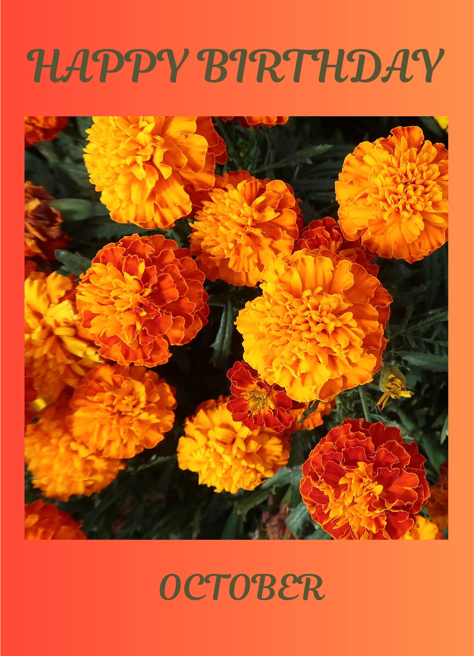 JollityJig - Birth Month Flower Cards